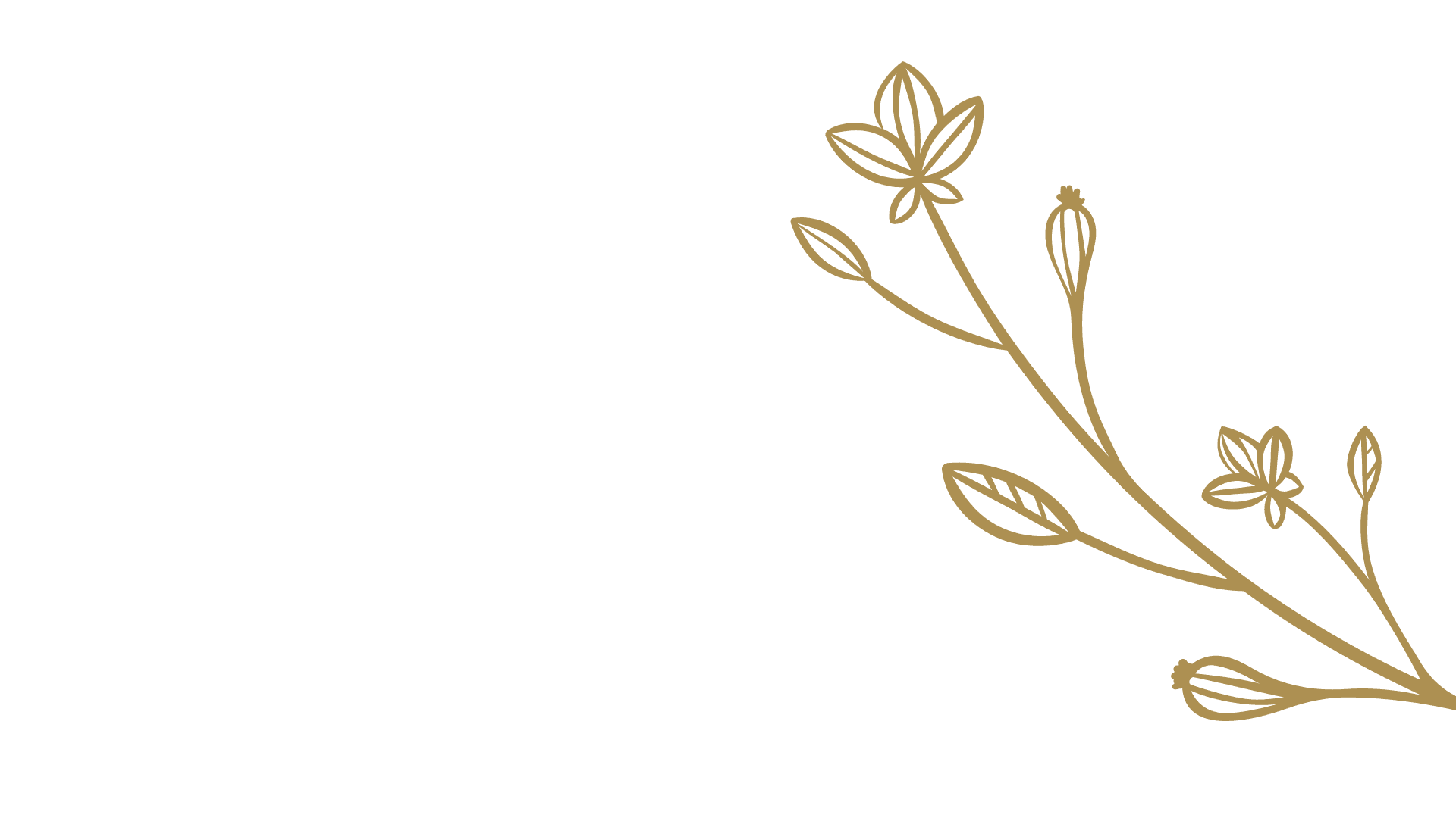 Tyhapus Nursery | Book a Visit | Exceptional Childcare